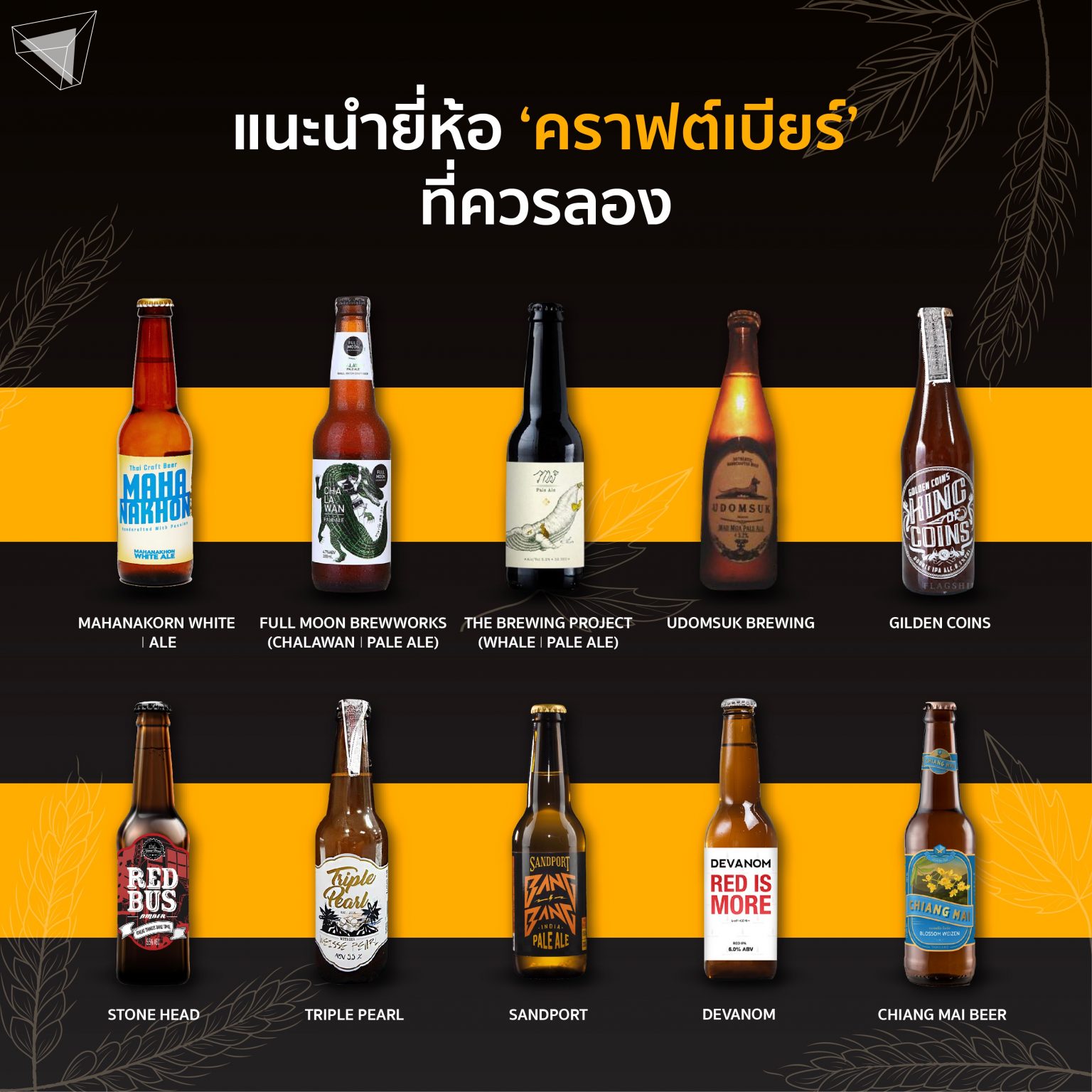 บุกหลังบาร์ของคราฟต์เบียร์ (Craft Beer) คืออะไร พร้อมตอบทุกข้อสงสัย